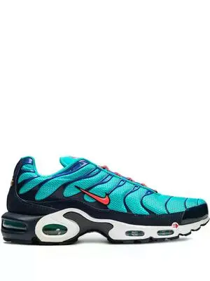 Nike Air Max Plus Sneakers - Blue