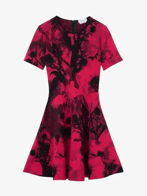 Alexander McQueen Floral Jacquard Mini Dress - Red/black