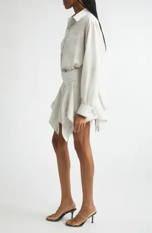 Alexander Wang Long Sleeve Silk Shirtdress