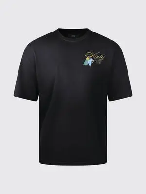 Amiri Cotton Crew Neck T-shirt With Logo