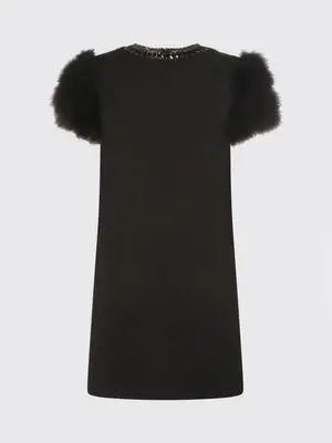 Valentino Garavani Virgin Wool And Silk Mini Dress With Embroidered Sequins And Feather Detail