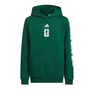 adidas Women's Graphic Sweatshirts