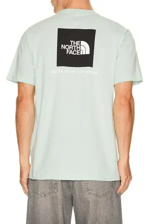 The North Face Evolution Box Nse Regular Short Sleeve Tee In Mint - Opal Frost