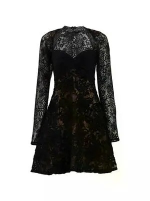 Tadashi Shoji Sayda Lace Appliqué Dress