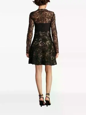 Tadashi Shoji Sayda Lace Appliqué Dress