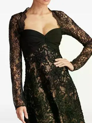 Tadashi Shoji Sayda Lace Appliqué Dress