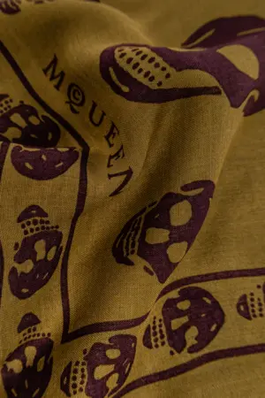 Alexander McQueen Scarf With A Distinctive Skull Motif - Brown