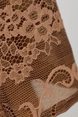 Acne Studios Lace Pencil Skirt - Brown