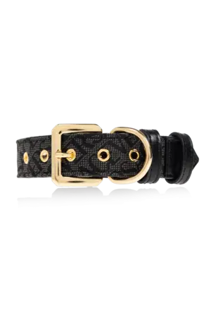 Versace Dog Collar With Barocco Print