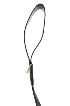 Versace Dog Leash With Barocco Print