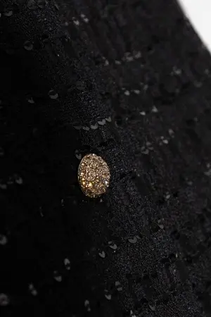 Alessandra Rich Jacket With Shimmering Appliqués