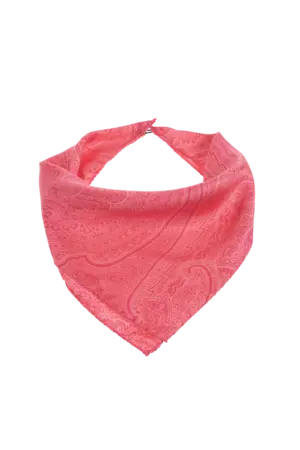 Etro Silk Scarf - Pink