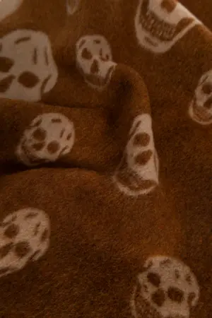 Alexander McQueen Scarf With Skull Motif - Brown
