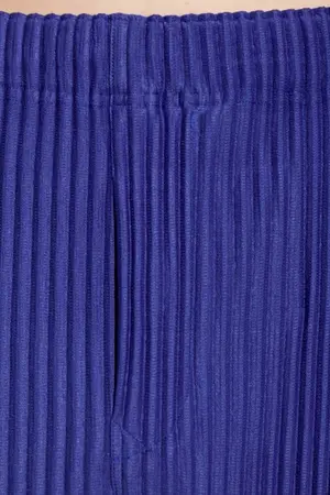 Issey Miyake Pleated Trousers