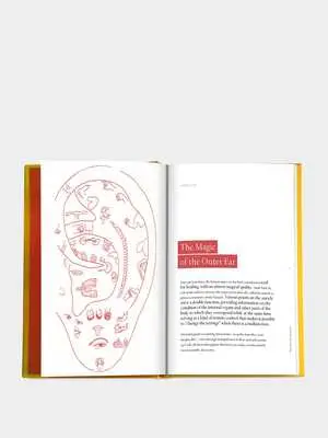 Assouline Mysteries Of The Ear Book