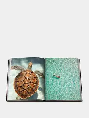 Assouline Jamaica Vibes - Multicolour