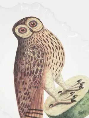 ASTIER DE VILLATTE Platter Owl