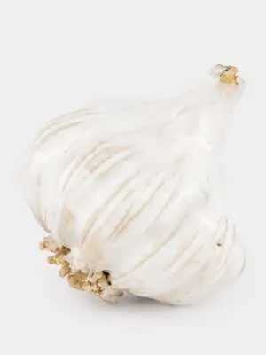 Studio Bongard Small Garlic Sculpture - White