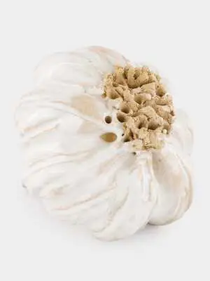 Studio Bongard Small Garlic Sculpture