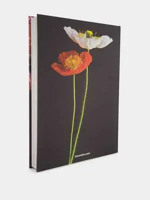 Assouline Flowers: Art & Bouquets - Pink