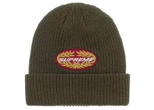 Supreme Supreme Terminal Beanie Olive