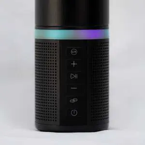 Roxy X Litflask Limited Edition Water Bottle