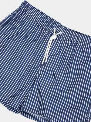 Fedeli Striped Swim Trunks - Blue