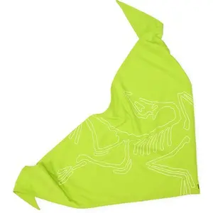 Arc'teryx Sinsolo Bandana - Mantis