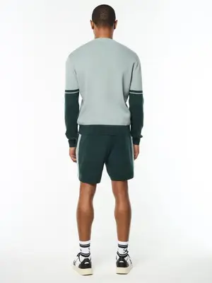 SERGIO TACCHINI Giovane Crewneck Sweatshirt With Color-block Sleeves And Monogram - Slate Gray