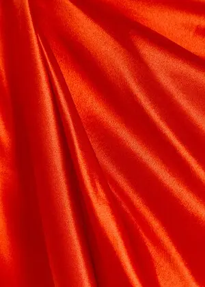 DELOS Draped Silk Maxi Dress - Red