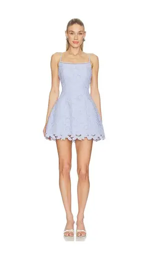 Elliatt Lace Cocktail Dresses