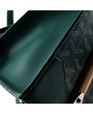 Goyard Pm Saigon Top Handle Bag - Green