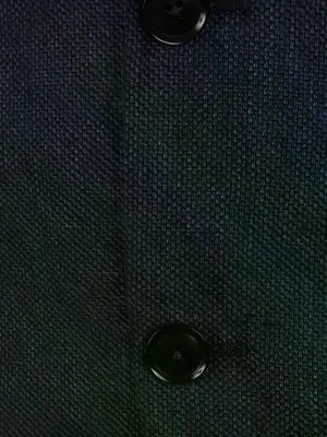 Zegna Button Jacket - Blue