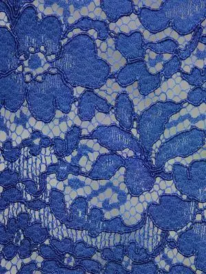 GIANLUCA CAPANNOLO Lace Top - Blue