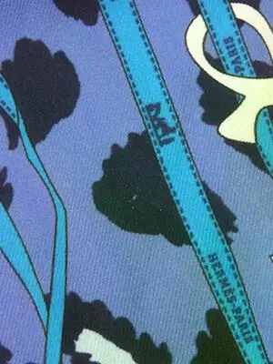 Hermès 2000-2010 Monsieur Et Madame Silk Scarf Scarves - Blue
