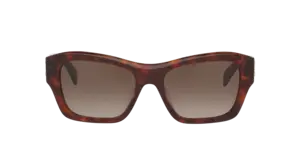 Celine Sunglasses - Brown Gradient