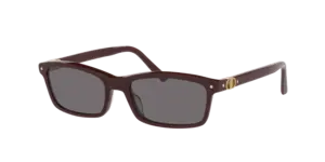 Dior Petit Cd Sunglasses - Grey