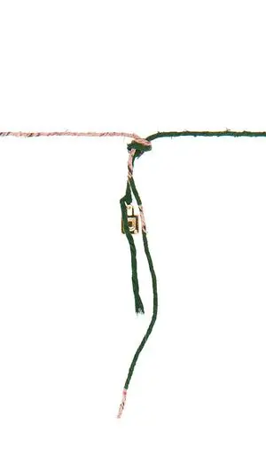 Dannijo Abalone Necklace