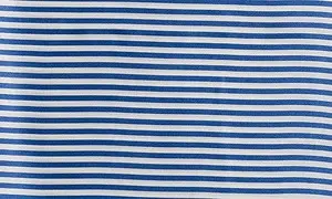 Rag & Bone Gail Stripe Silk Scarf - Blue/white