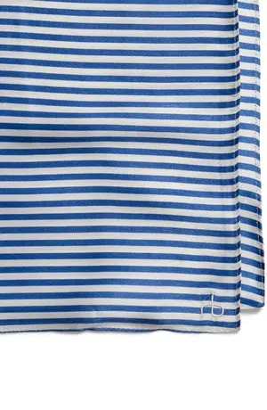 Rag & Bone Gail Stripe Silk Scarf - Blue/white