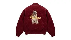 Palace Long Sleeve Jackets For Men