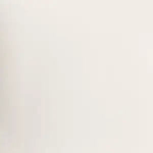 Wolford Cotton-blend Jamaika Bodysuit - Ivory