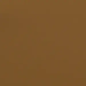 Ray-ban Square Wayfarer Sunglasses - Brown