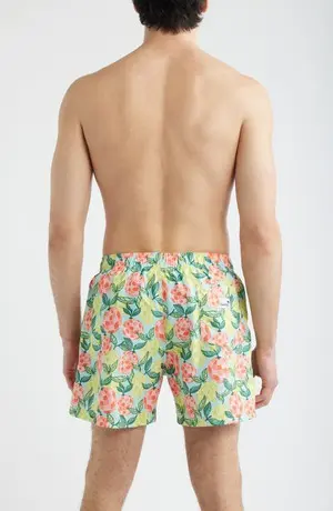 BOARDIES Citrus Print Swim Trunks - Multi