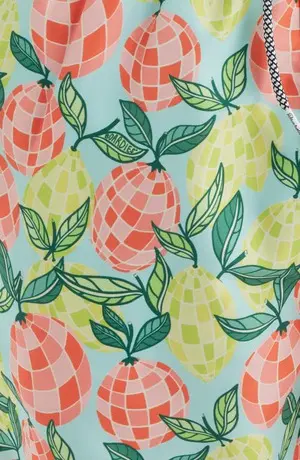 BOARDIES Citrus Print Swim Trunks - Multi