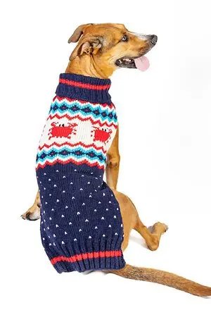 CHILLY DOG Crabby Dog Sweater