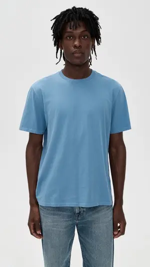 Madewell 30 Singles Tee - Fountain