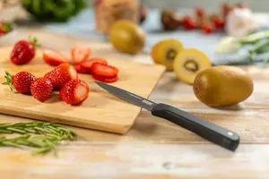 KUHN RIKON Iced Paring Knife 3.5-inch