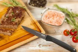 KUHN RIKON Iced Steak Knife 4.13-inch, Set Of 4