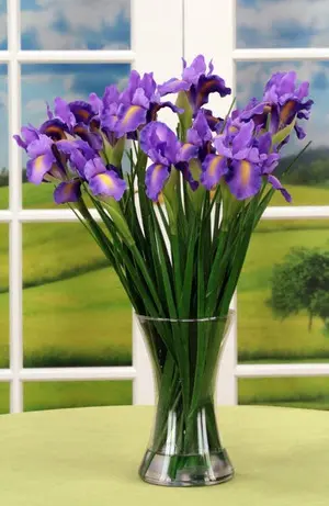 MARK ROBERTS Vase Of Iris